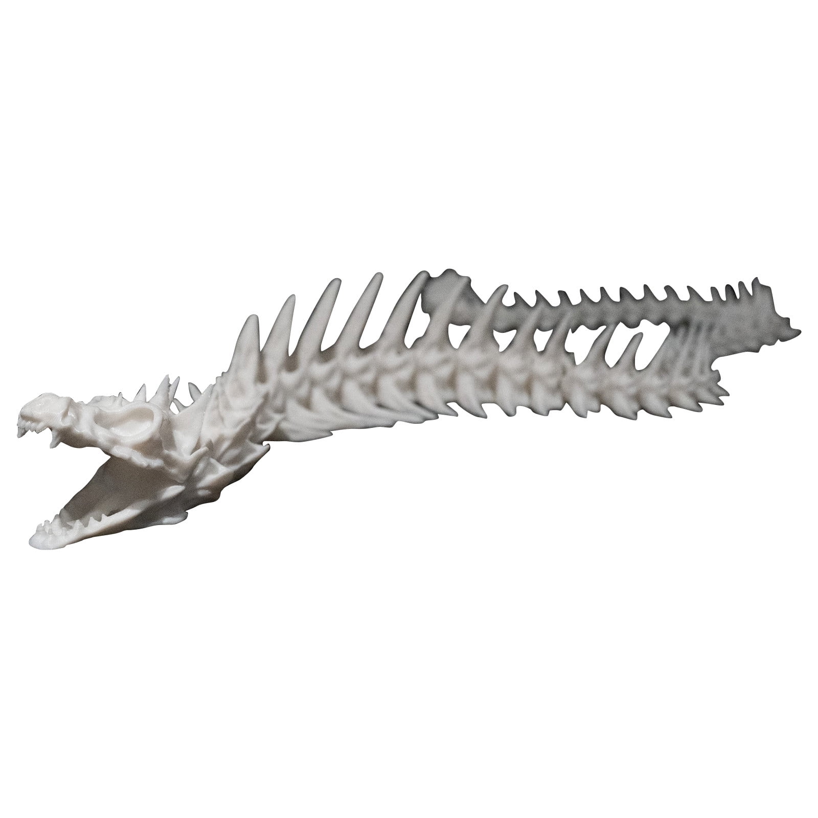 GuFamilya 3D Printed Movable Snake Bones, Animal Bones Toys, Home, Room ...