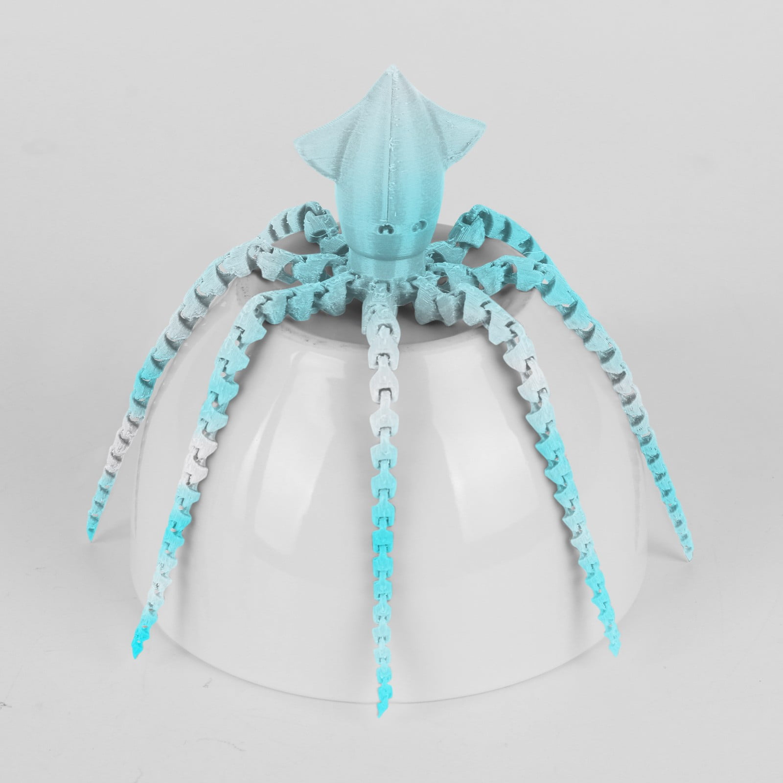 GuFamilya 3D Printing Cuttlefish 3D Printing Articulated Cuttlefish Toy ...