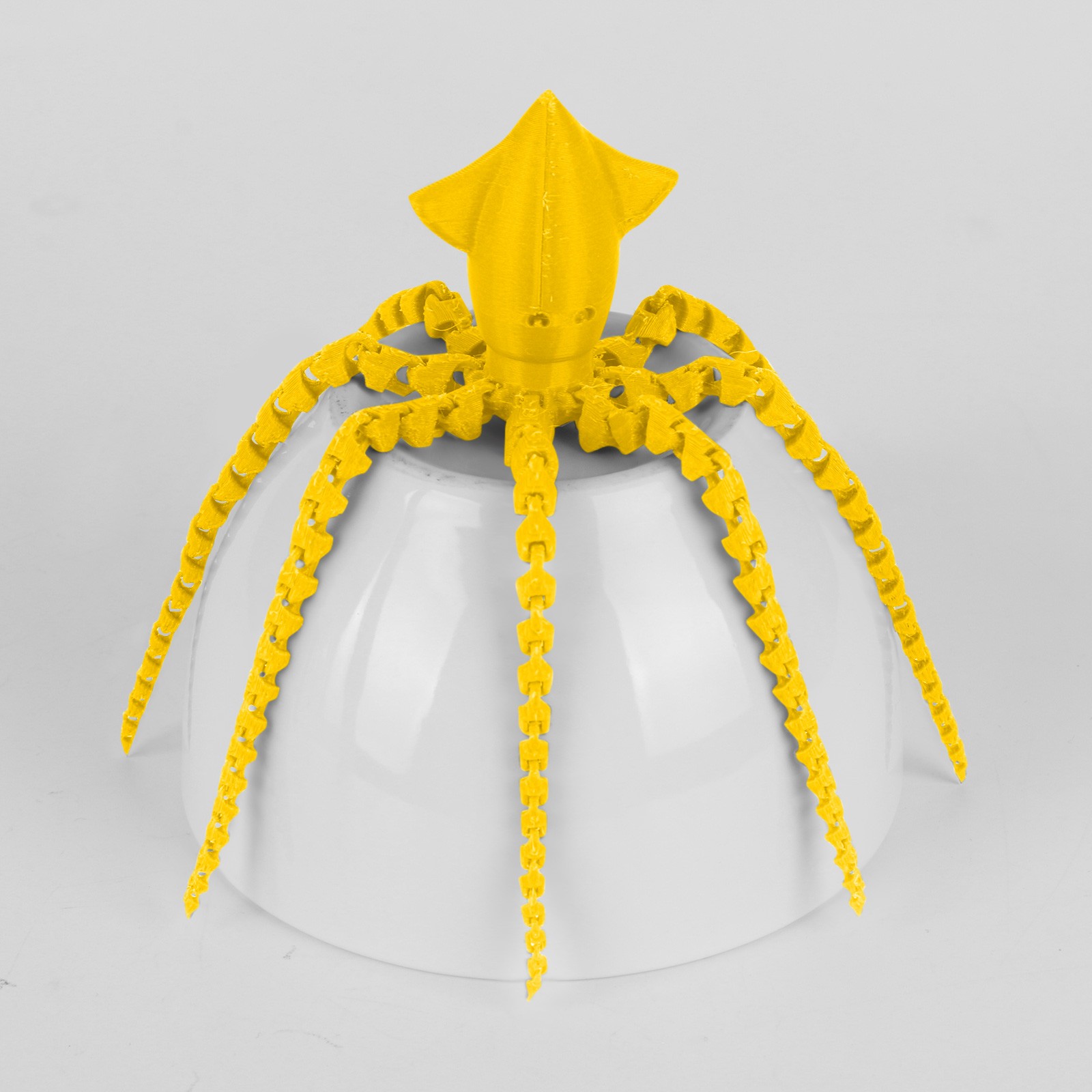 GuFamilya 3D Printing Cuttlefish 3D Printing Articulated Cuttlefish Toy ...