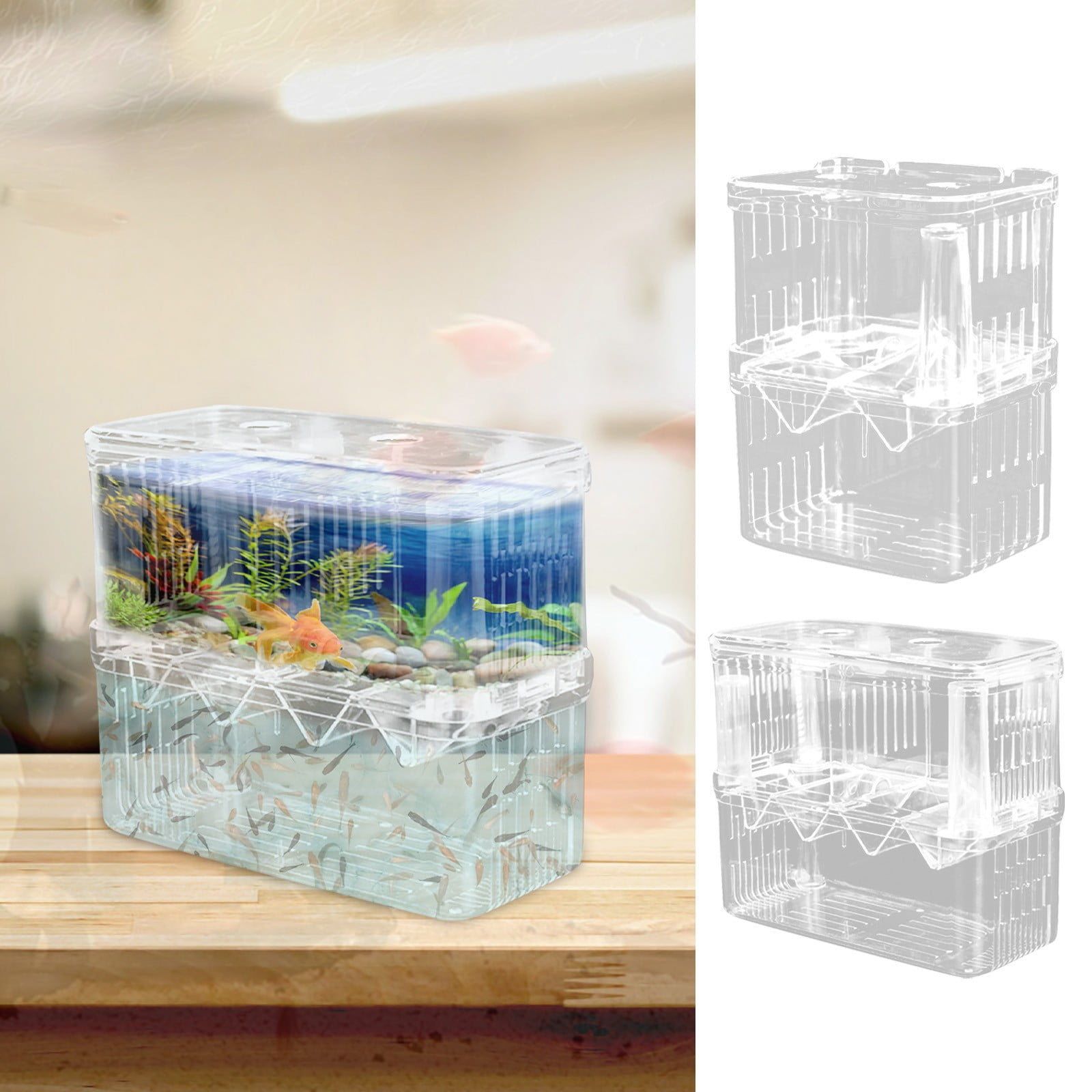 GuaLeg Double Layer Transparent Fish Breeding Isolation Box – Plastic ...