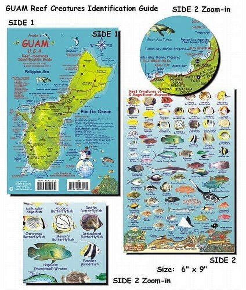 Guam Reef Fish and Creature Guide - Walmart.com
