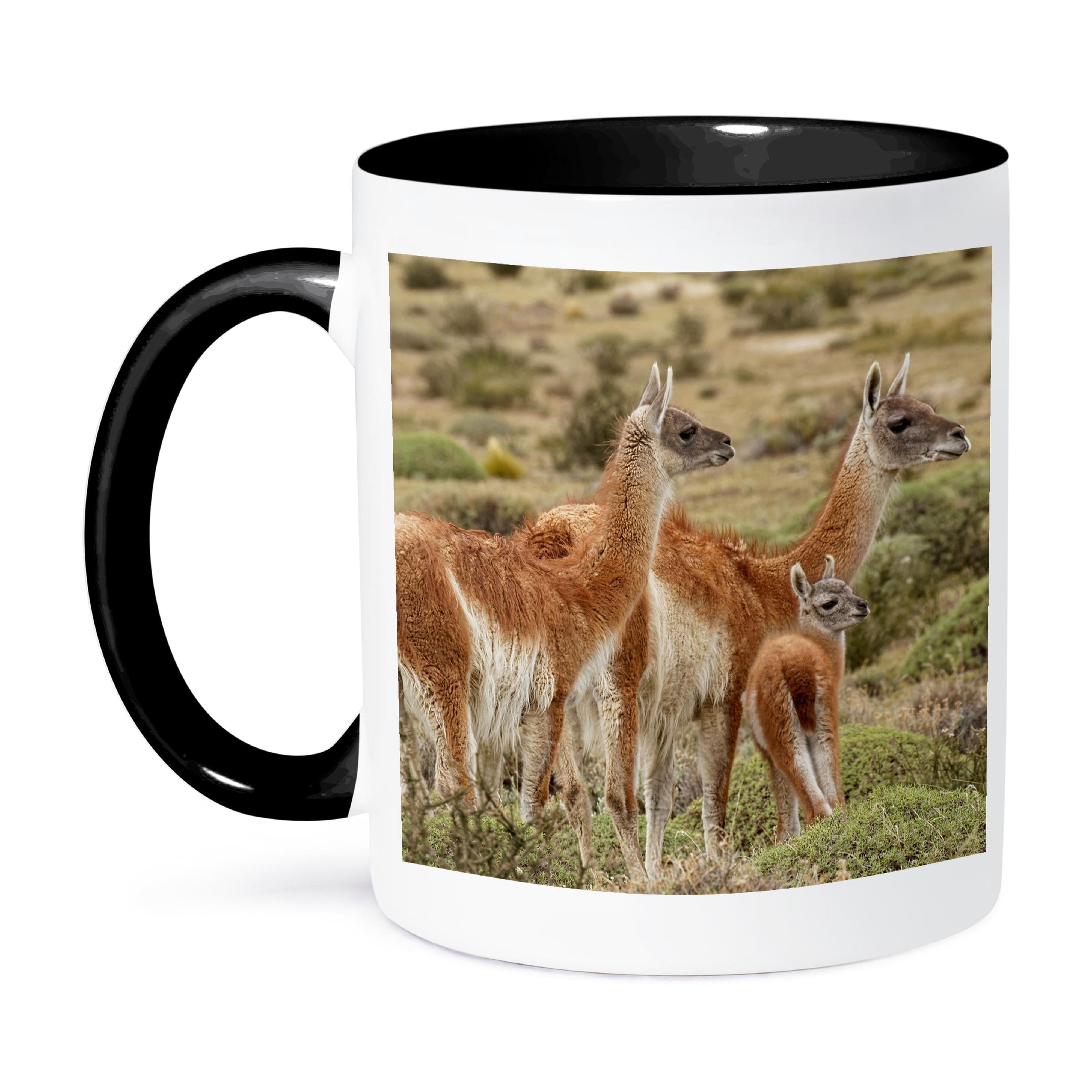 Guanaco Family And Baby, Torres Del Paine Np, Chile, Patagonia, 11oz ...