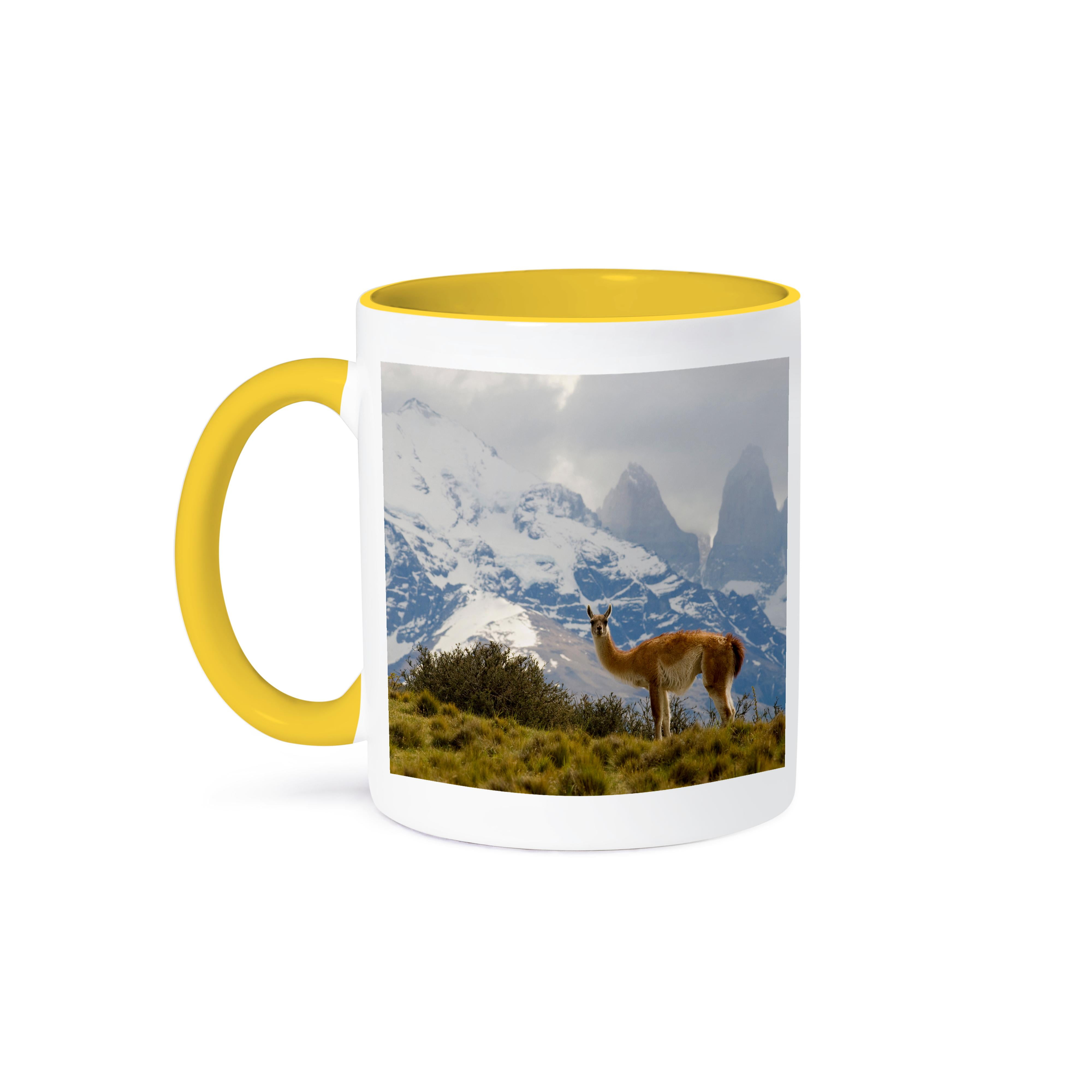 3dRose, Guanaco with Paine Towers, Torres Del Paine NP, Patagonia ...