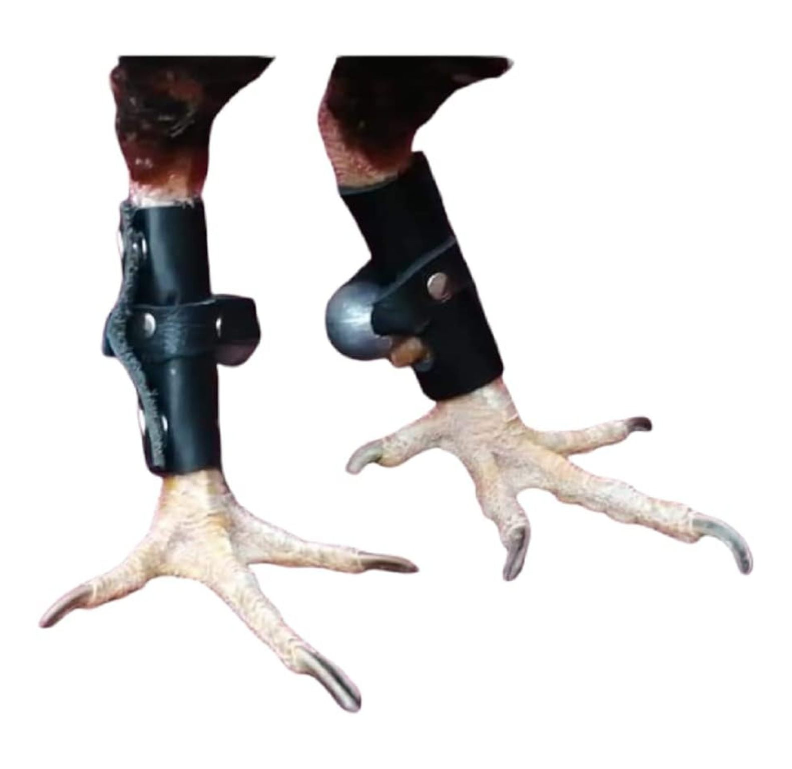 Guantes con Pesa para Gallos (Botas para Gallos) - Walmart.com