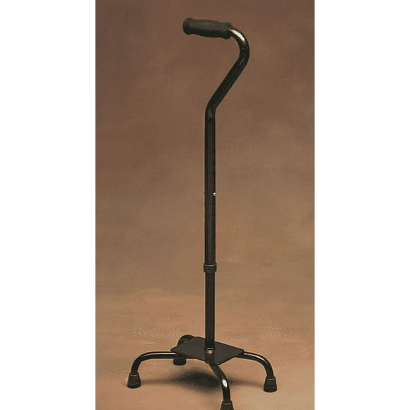 Walkers Canes - Walmart.com
