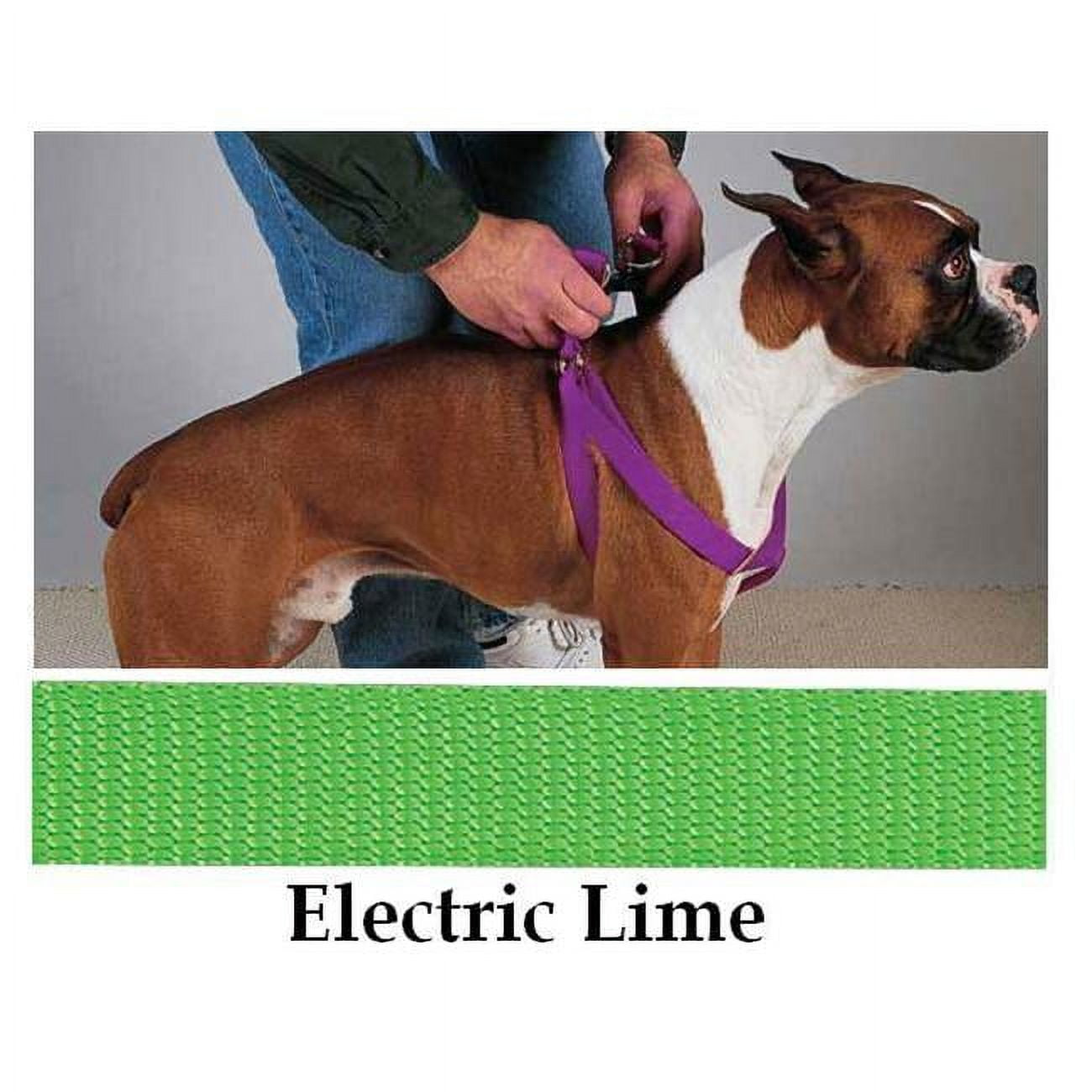 Guardian Gear 2 Step Harness 15-25 Electric Lime - Walmart.com
