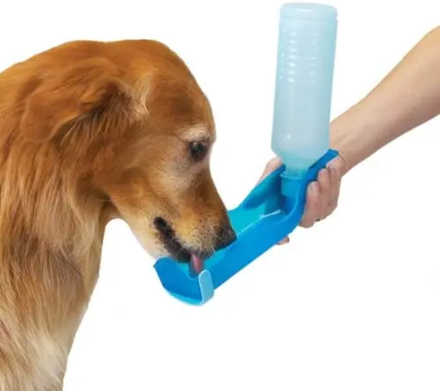 Guardian Gear Handi-Drink Portable Water Dispenser, Assorted Colors ...