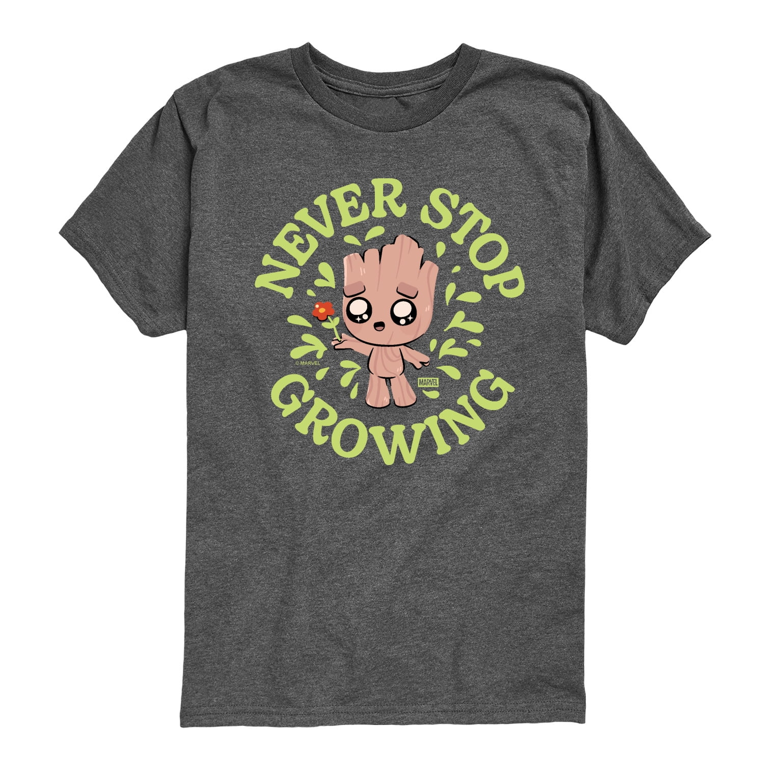 Guardians of the Galaxy - Never Stop Growing - Youth Boys Short Sleeve ...