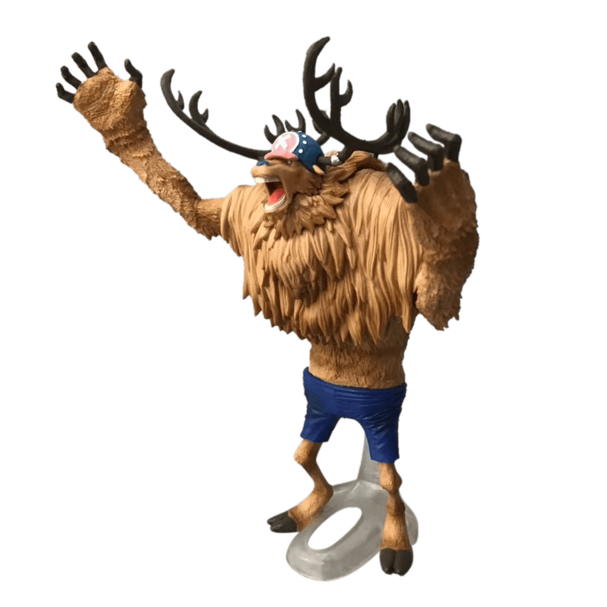 Chopper One Piece All Forms