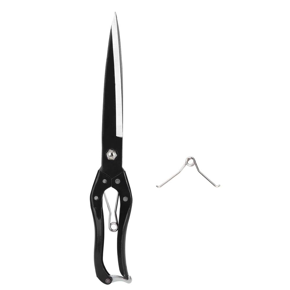 Gueiykk Hand Shears for Sheep Goat Horse Rabbit Pet Cut Hair Wool AlL ...