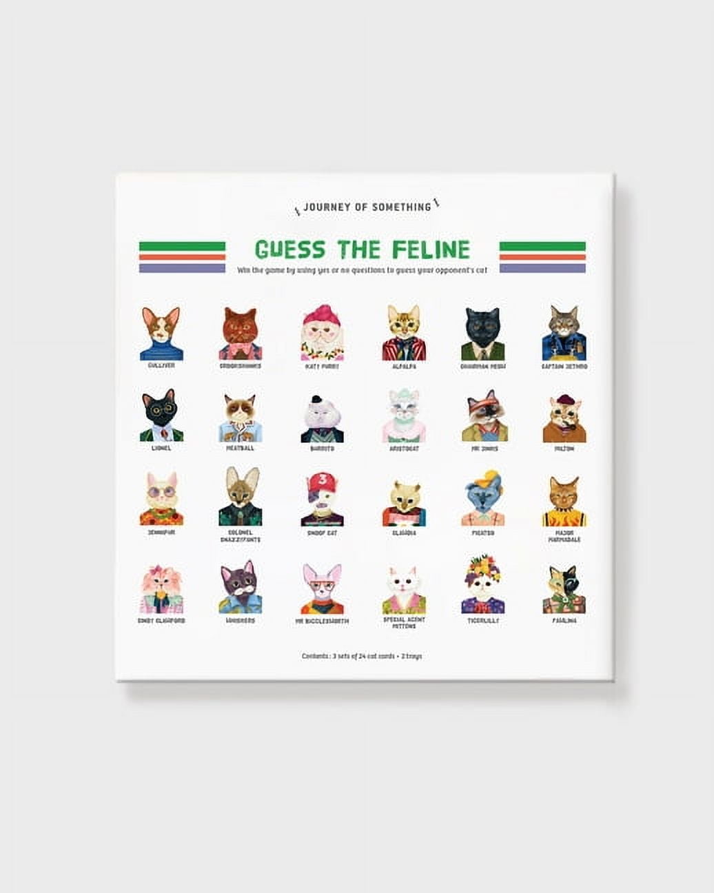 Guess the Feline Card Game - Artist Designed Quirky Cat Guessing Game ...