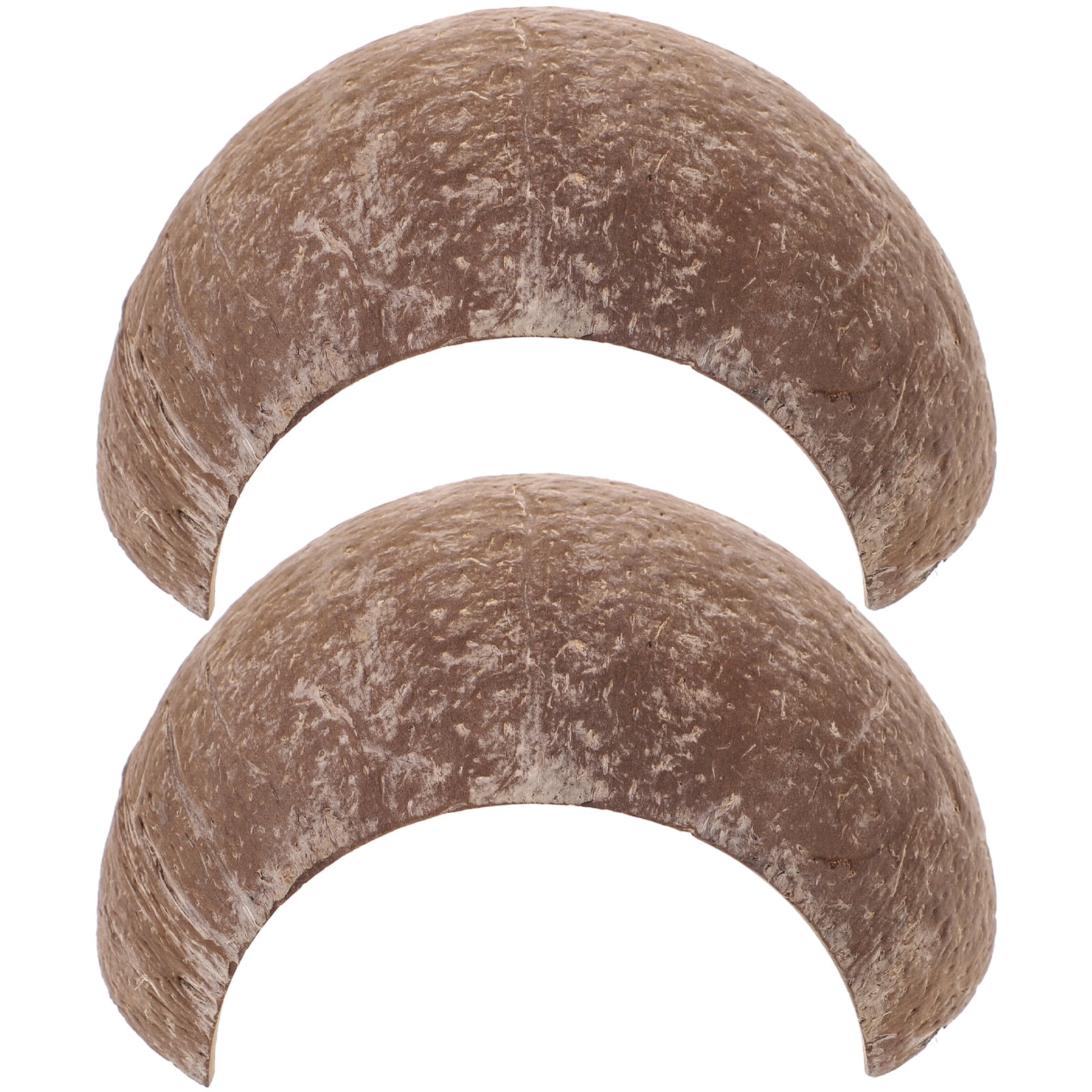 Guichaokj 2 Pcs Reptiles Hide from Caves Animal Hermit Crab Lizard ...