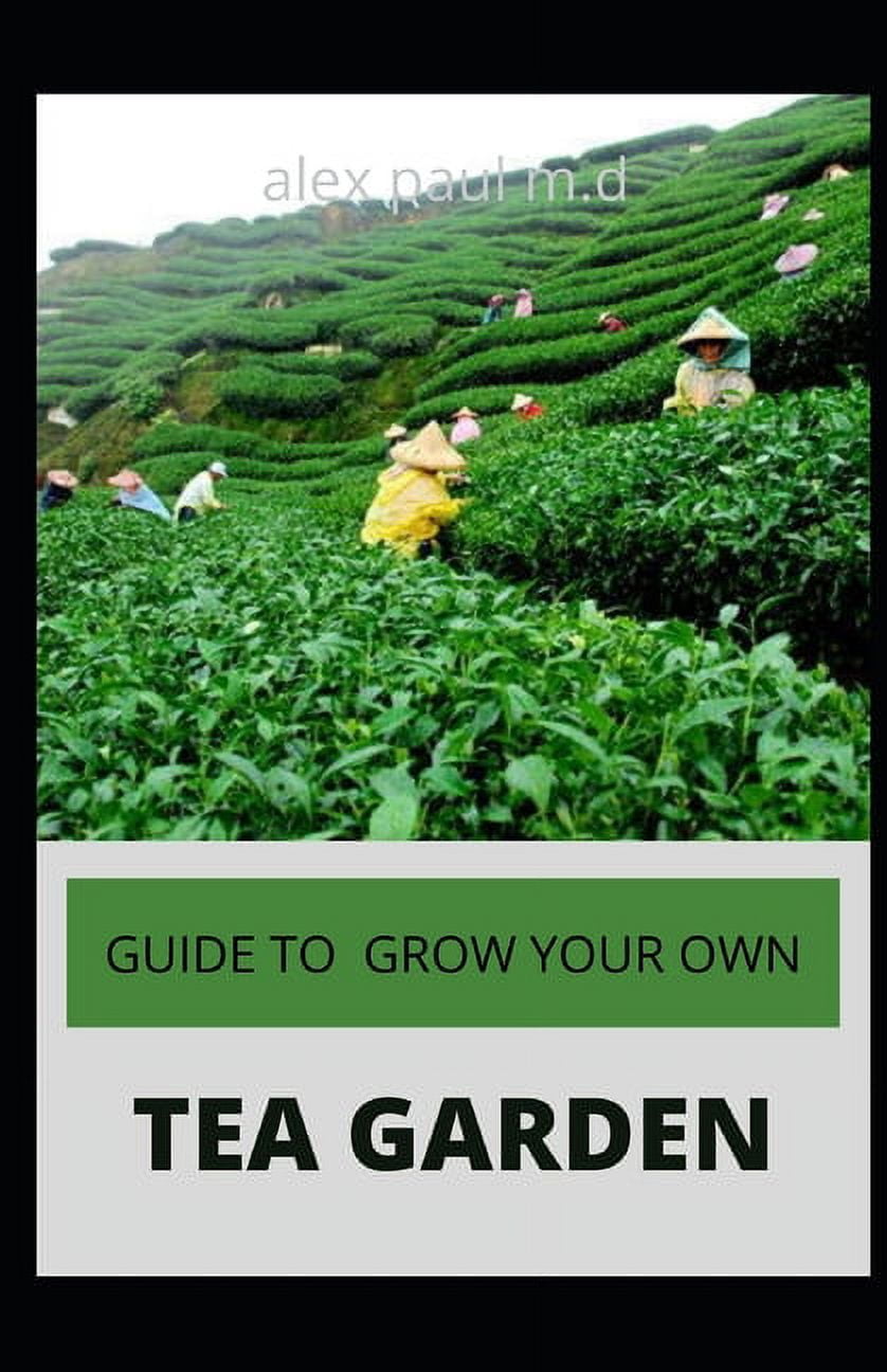 Guide to Grow Your Own Tea Garden: Comprehensive Growing and Harvesting ...