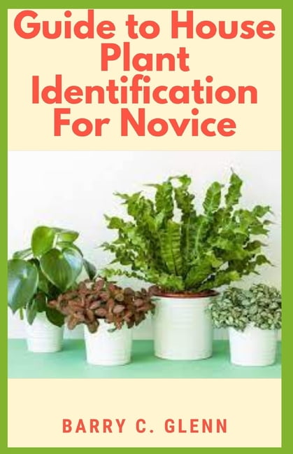 Guide to House Plants Identification For Novice : Identifying your ...