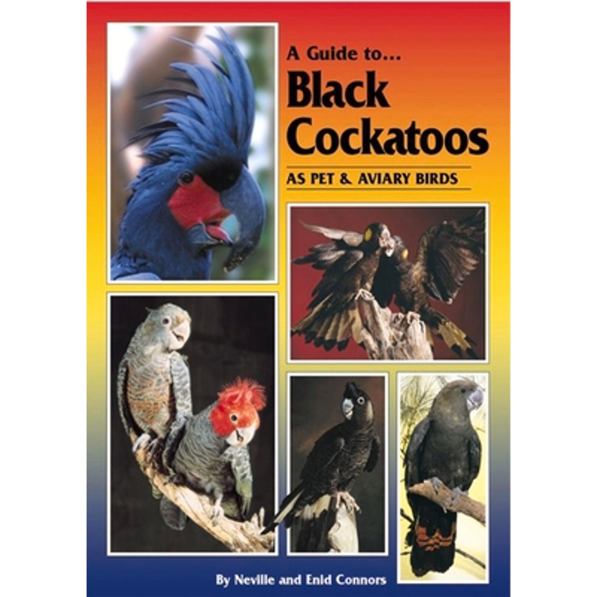 Pre-Owned Guide to Black Cockatoos as Pet and Aviary Birds (Hardcover ...