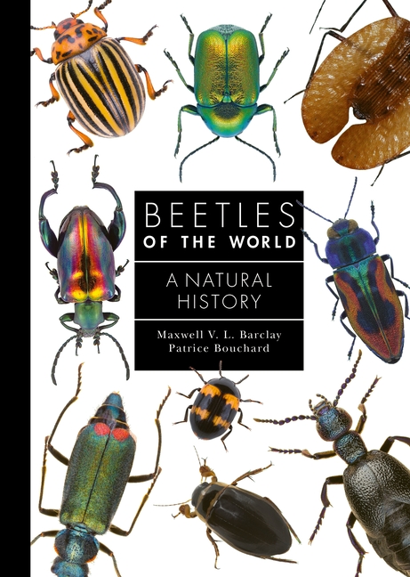 Guide to Every Family Beetles of the World: A Natural History, Book 7 ...