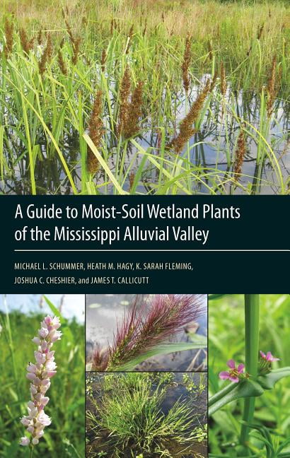 Guide to Moist-Soil Wetland Plants of the Mississippi Alluvial Valley ...