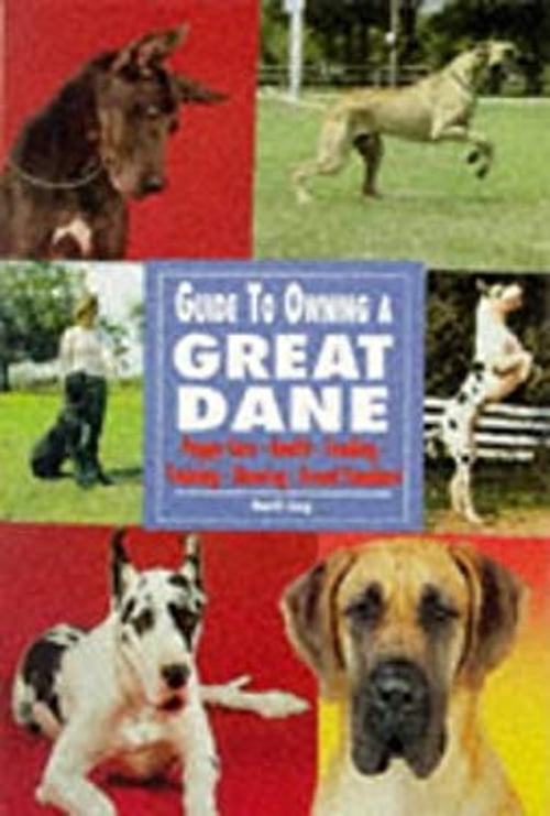Great Dane Akc