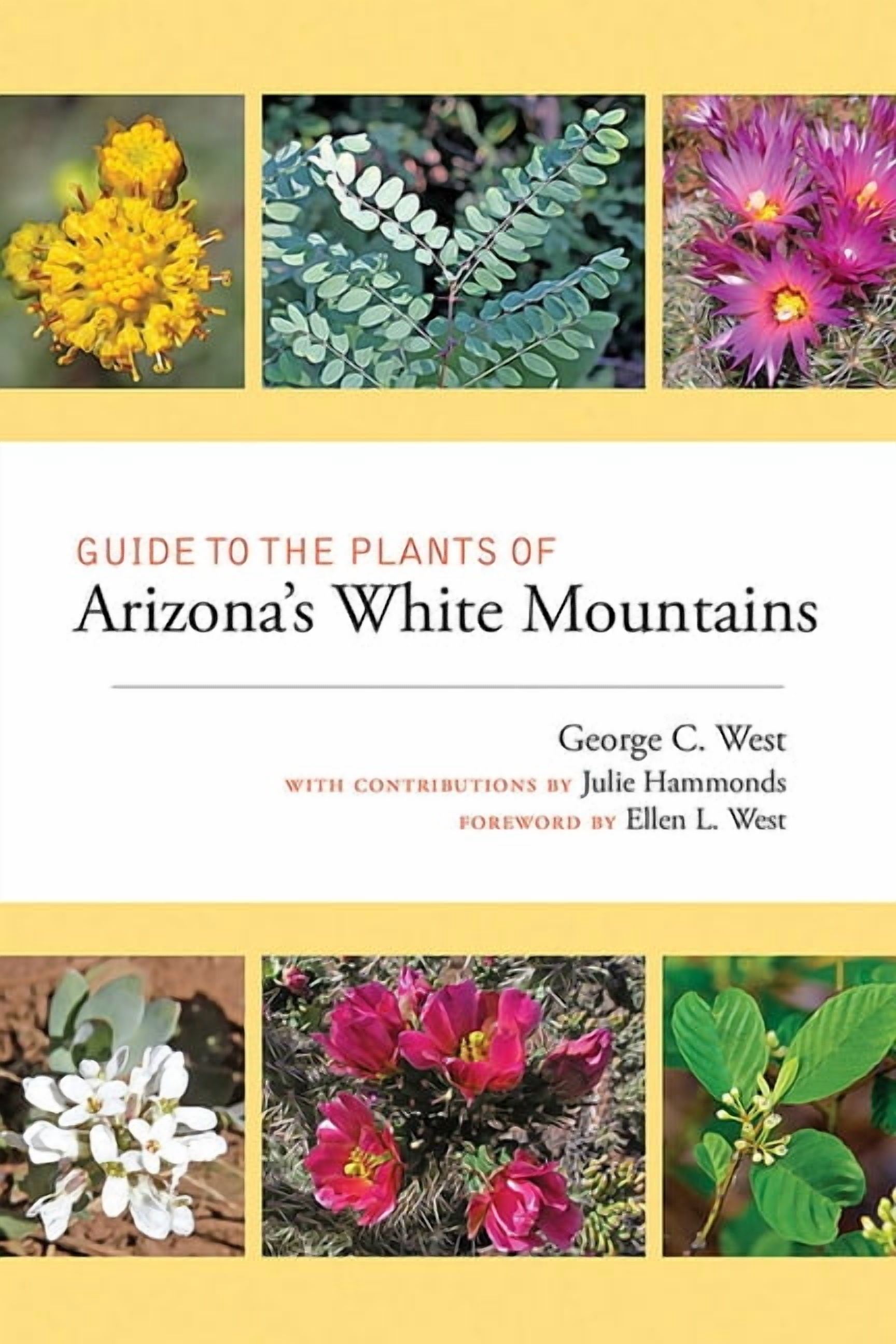 Guide to the Plants of Arizona's White Mountains, (Paperback) - Walmart.com
