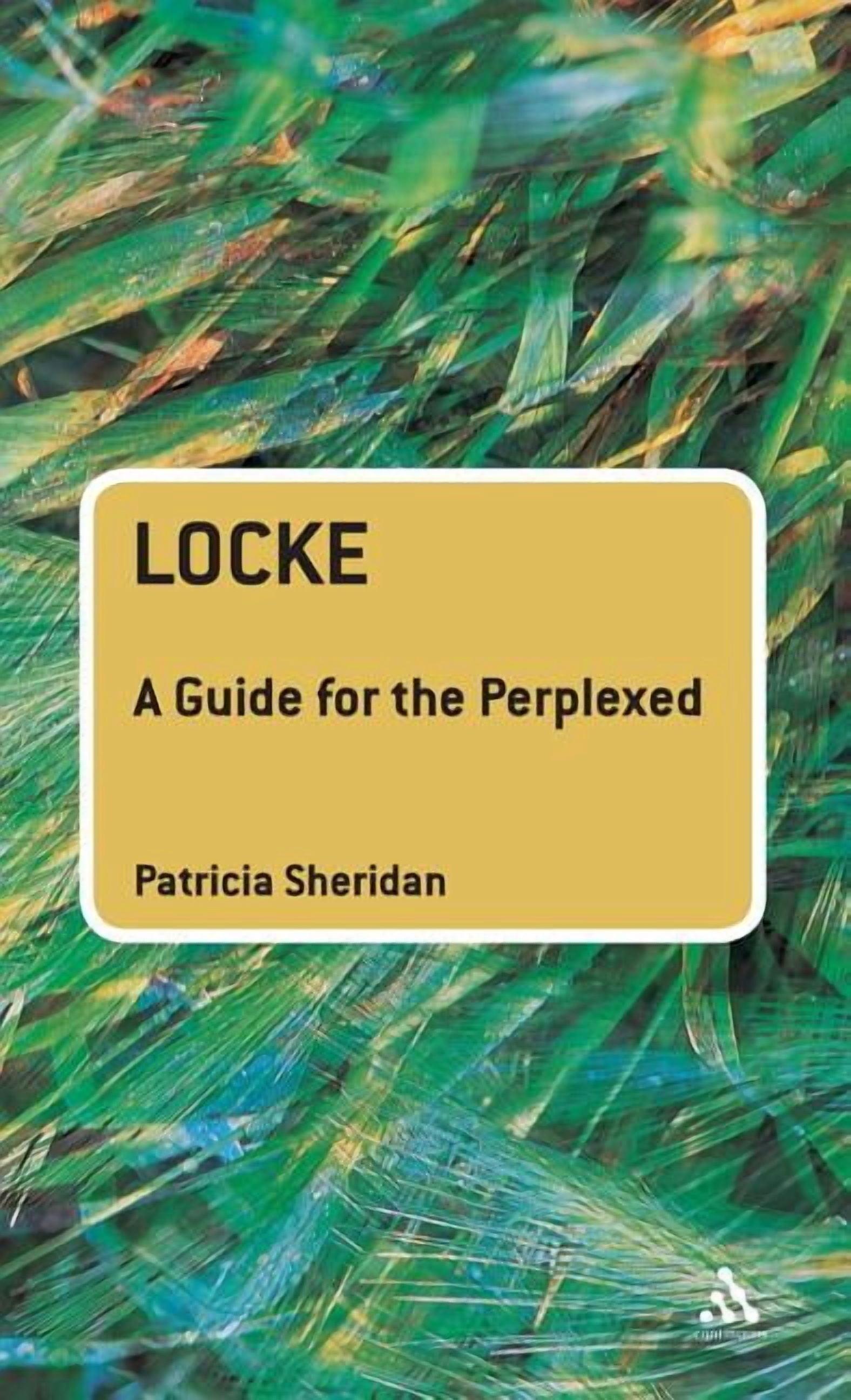 Guides for the Perplexed Locke: A Guide for the Perplexed, (Hardcover ...