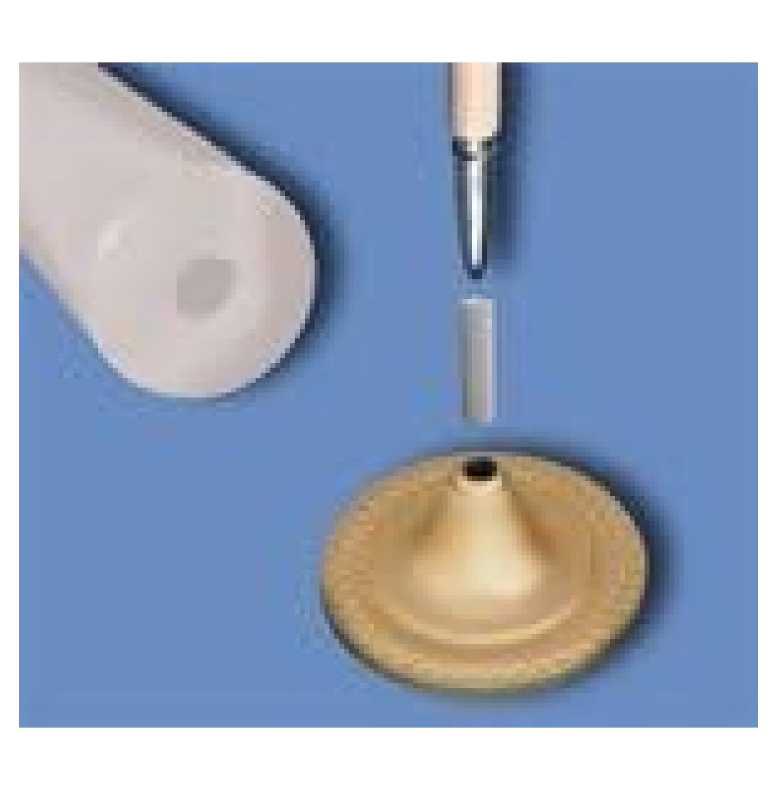 Guidon Pole Bottom Ferrule Adapter - Walmart.com