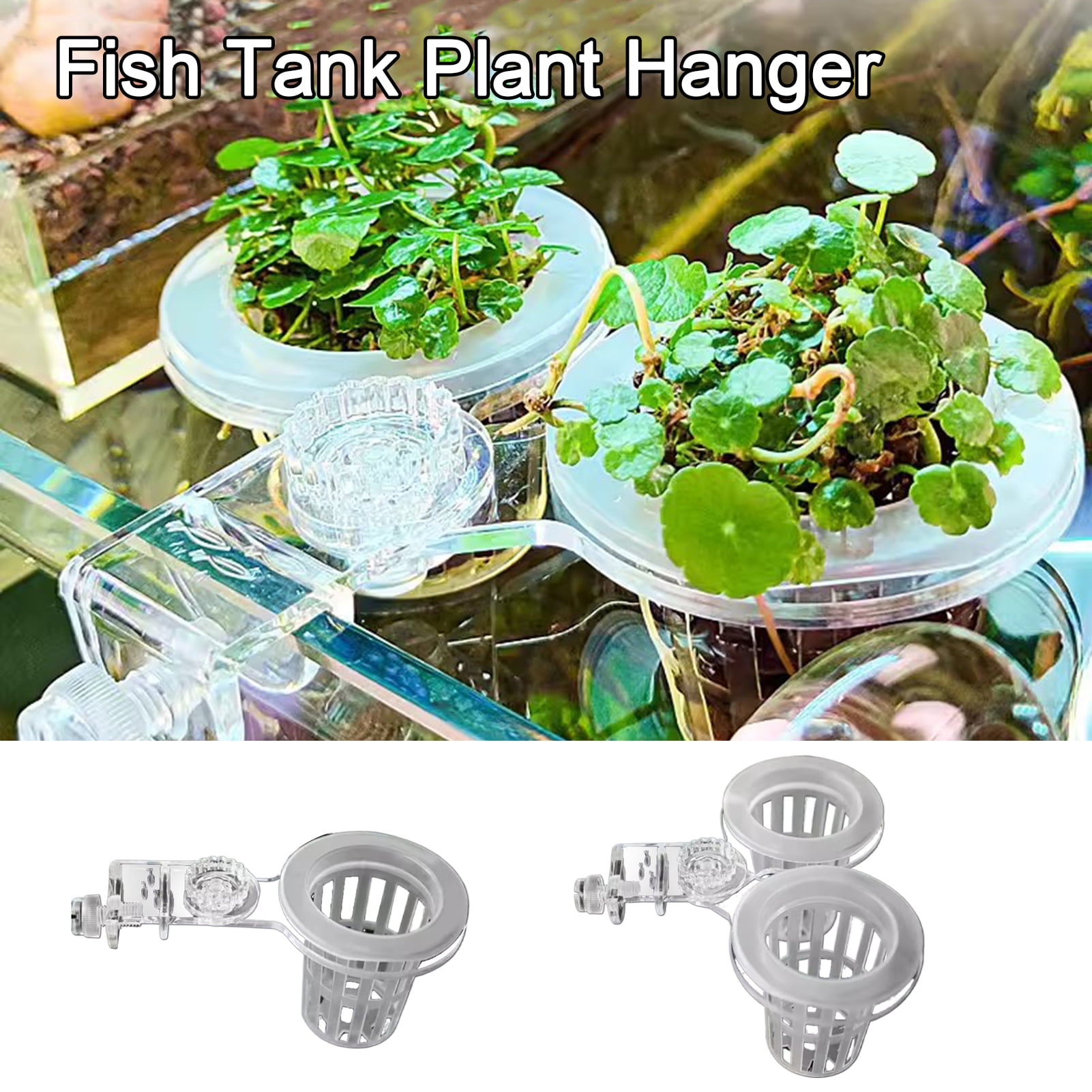 Guiexla Aquarium Plant Holder Wall-Mounted Hydroponic Plant Basket ...