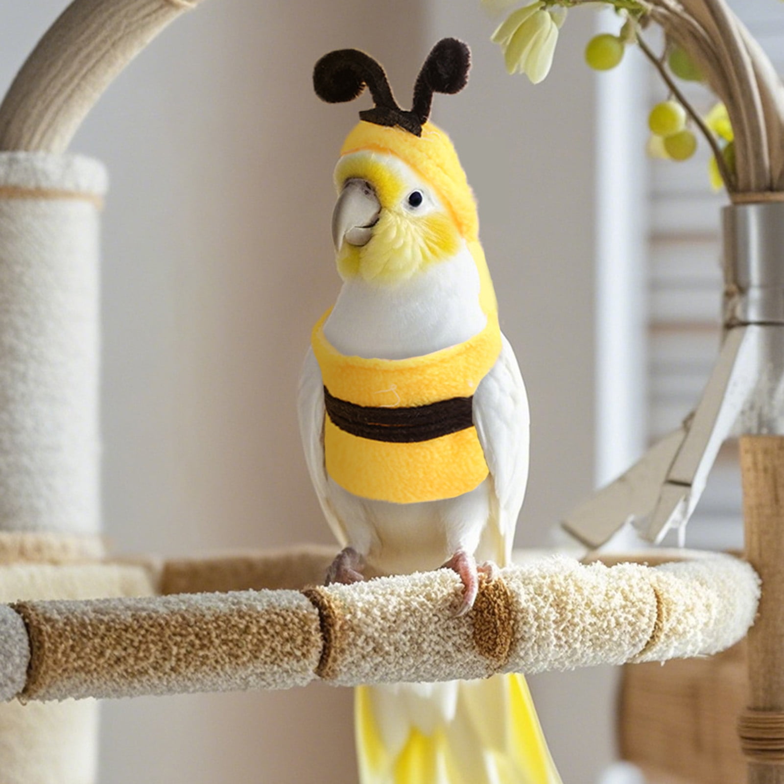 Guiexla Bird Costume for Parrots Bee Shaped Hoodies Bird Cosplay Outfit ...