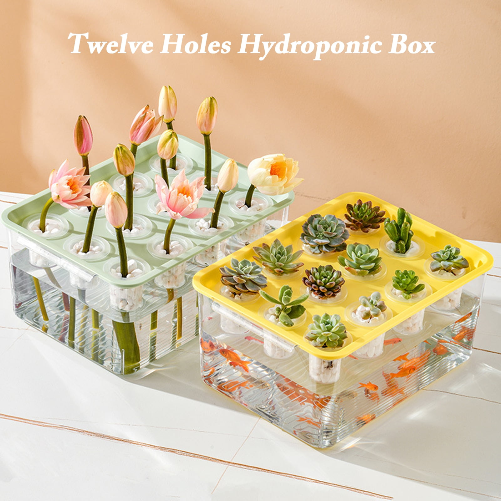 Guiexla Transparent Hydroponic Planter Box with 12 Holes Lid Handle ...