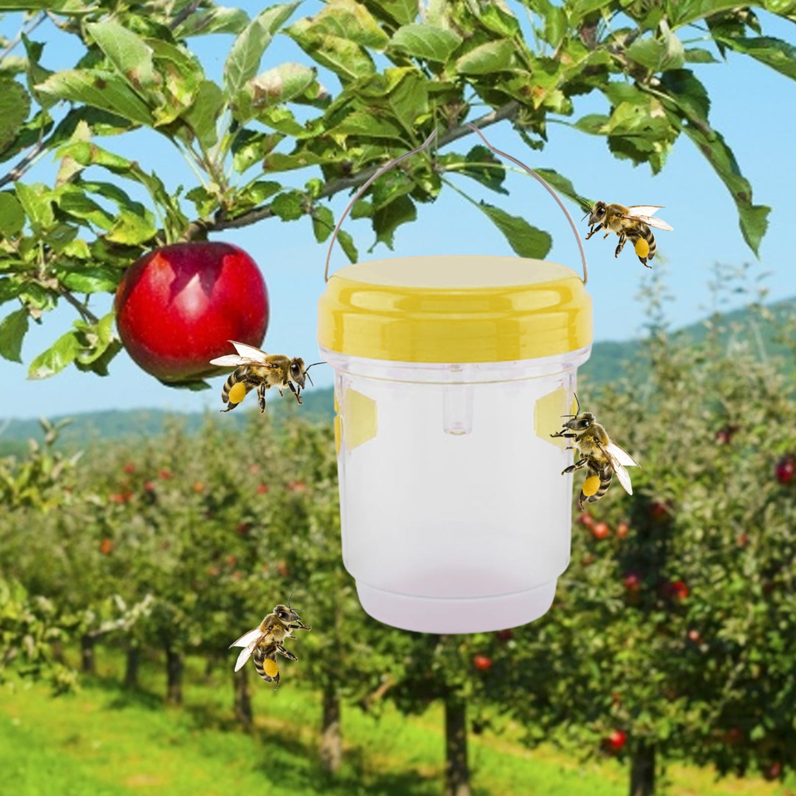 Guiexla Wasp Trap Hanging Design Catch Flies Gnats Bees Wasps Trap Easy ...