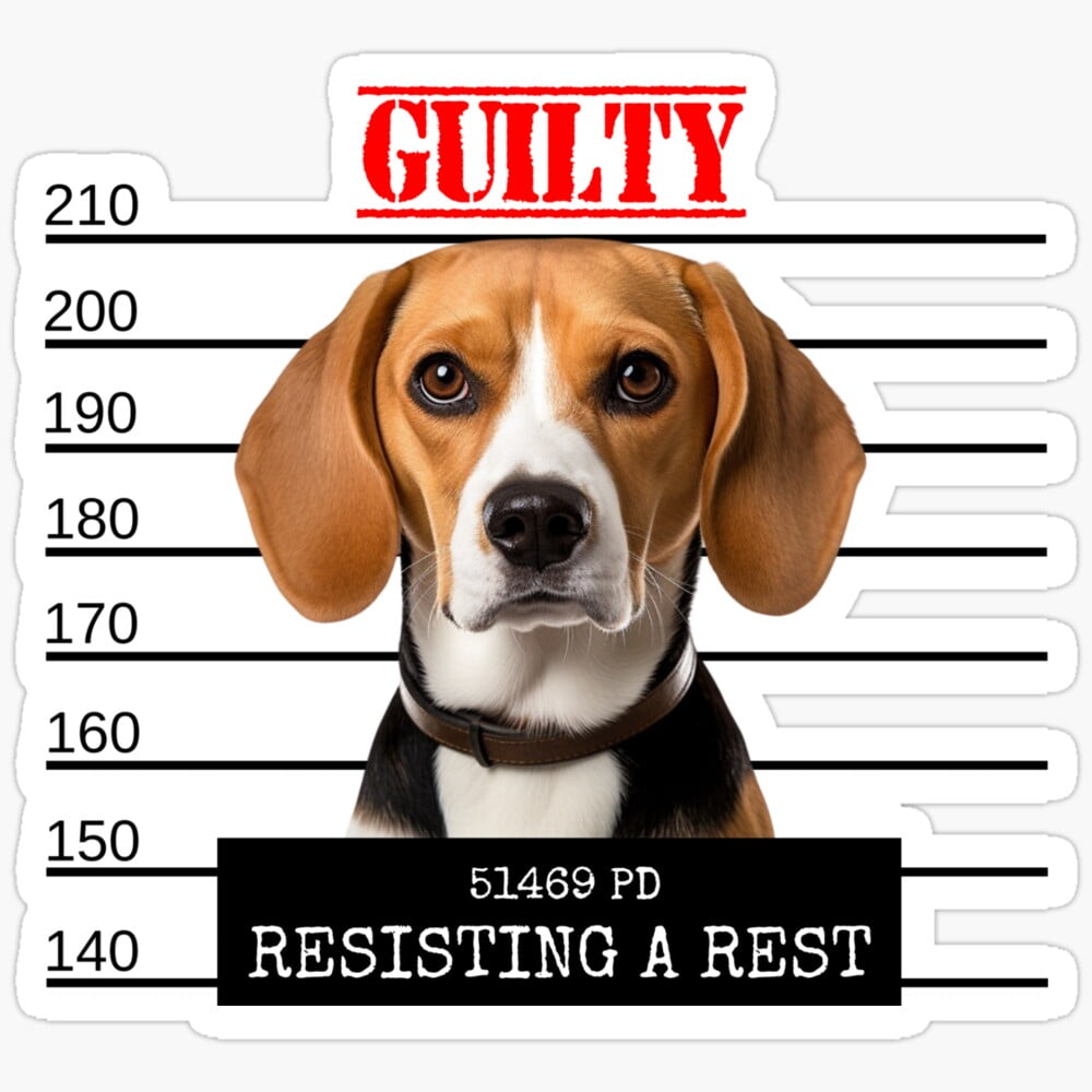 Guilty Beagle Dog Prison Photo Glossy Stickerphone Decal Water Bottle Stickers, Vinyl Stickers ...