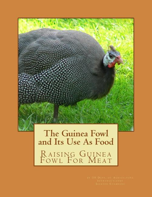 Guinea Fowl and Its Use As Food : Raising Guinea Fowl for Meat ...