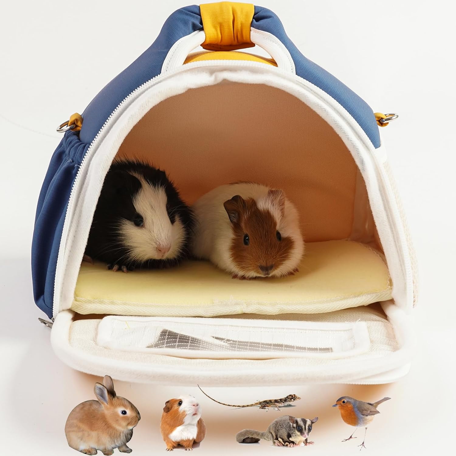 Guinea Pig Carrier, Small Animal Snake Travel Bag, Breathable Outdoor ...