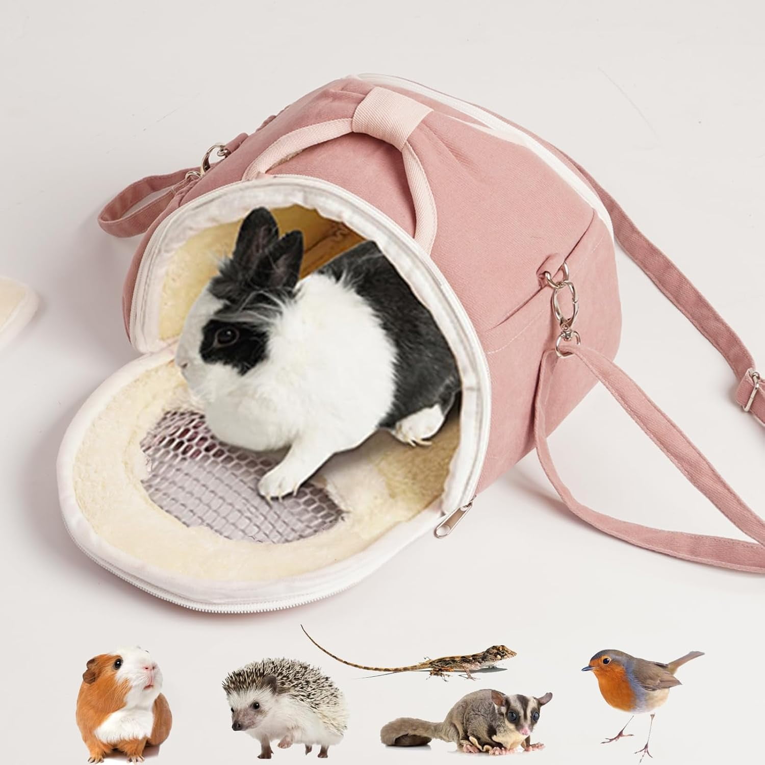 Guinea Pig Carrier, Small Animal Travel Bag, Breathable Snake Outdoor ...