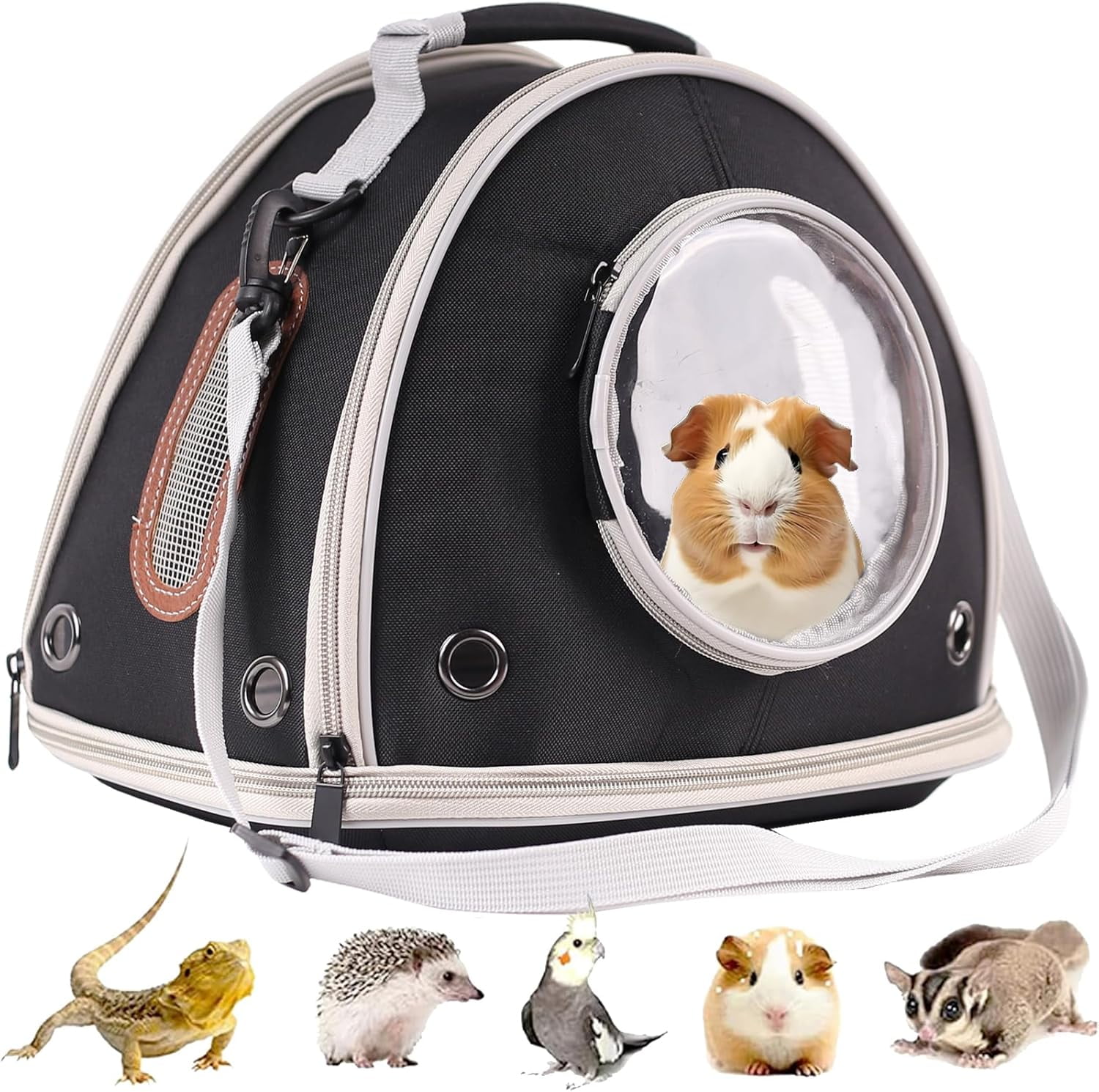 Halinfer Guinea Pig Carrier Travel Cage, Reptile Lizard Bearded Dragon ...