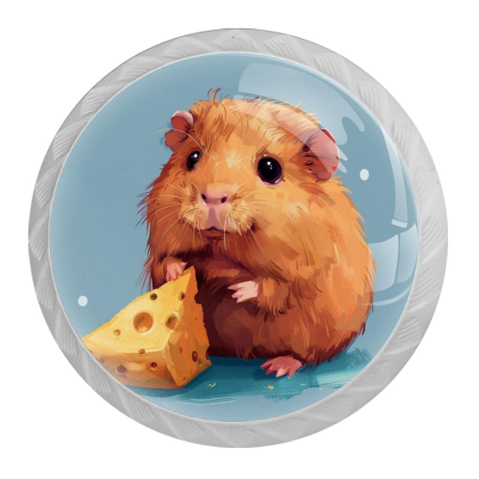 Guinea Pig Cheese Oattern Custom Drawer Knobs - Transparent Cabinet ...