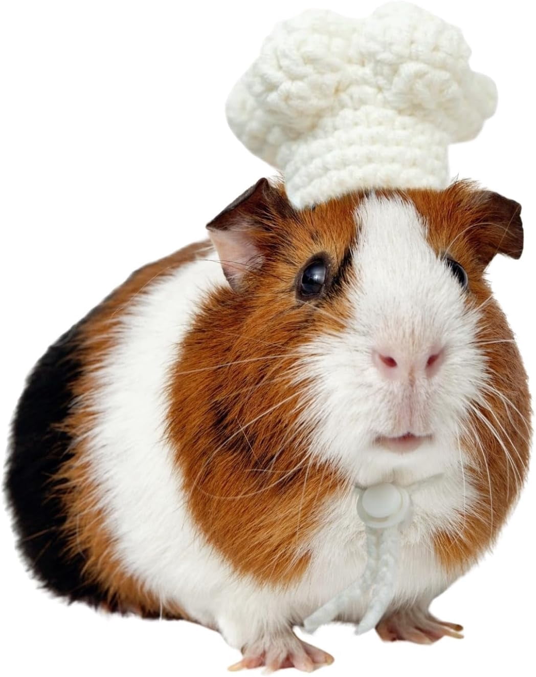 Guinea Pig Chef Hat - Hand Knitted Small Animal Cooking Chef Cap with ...