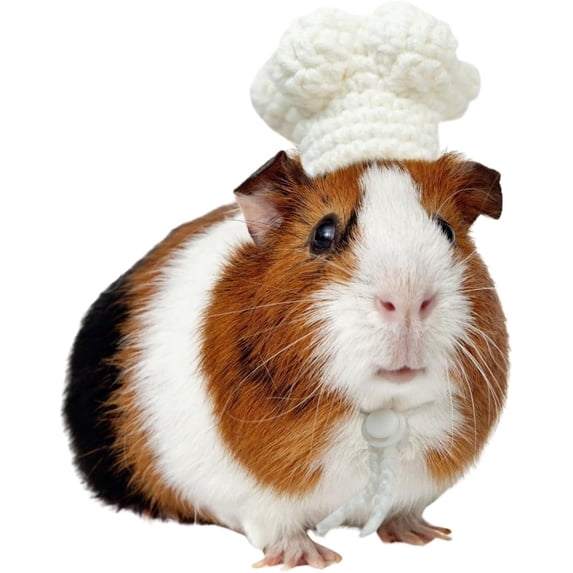 Guinea Pig Chef Hat - Hand Knitted Small Animal Cooking Chef Cap with ...