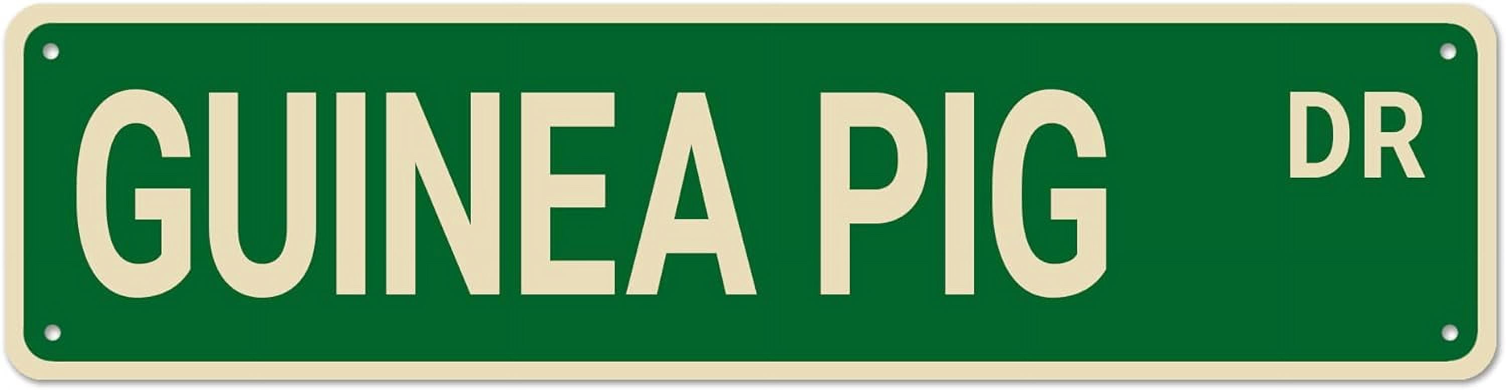 Guinea Pig Dr Street Signs, Guinea Pig Decor Guinea Pig Sign, Funny ...