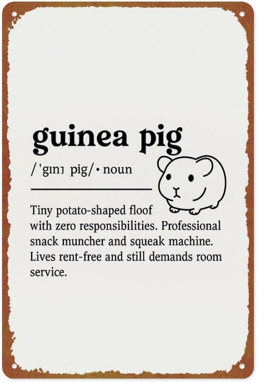 Guinea Pig Funny Definition Metal Tin Sign, Vintage Wall Decor Poster ...