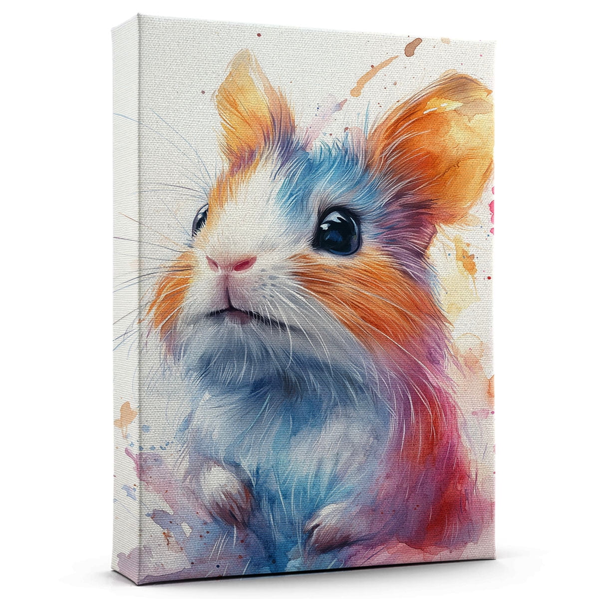 Guinea Pig Grey White Abyssinian Canvas Art Animals, Colorful Guinea ...
