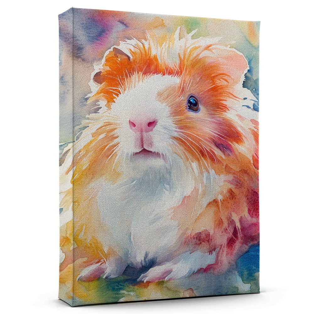 Guinea Pig Long Haired White Grey Peruvian Canvas Wall Art Animal Gifts ...