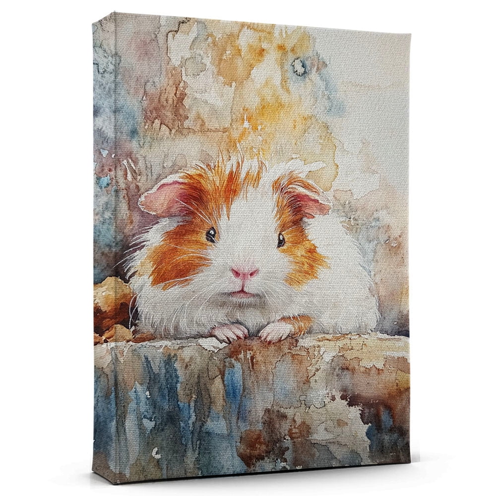 Guinea Pig Long Haired White Red Peruvian Canvas Wall Art Animal Gifts ...