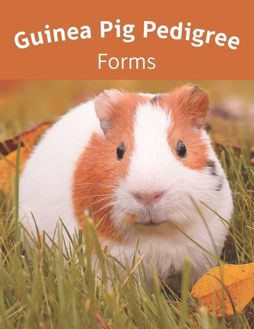 Guinea Pig Pedigree Forms: Keep Records of your Herd's Bloodlines with ...