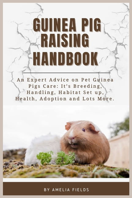 Guinea Pig Raising Handbook: An Expert Advice on Pet Guinea Pigs Care ...