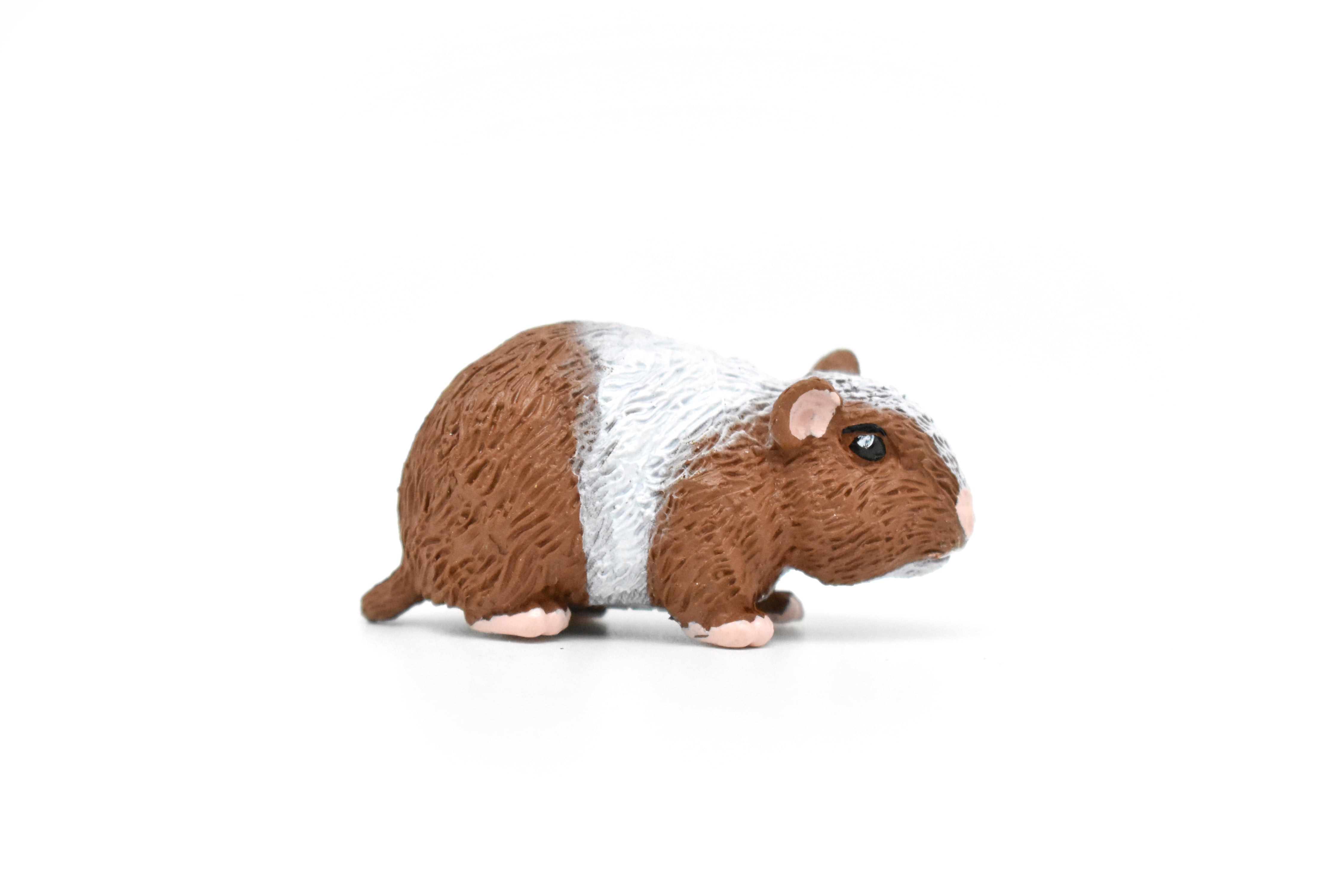 Guinea Pig, Realistic, Plastic, Animal Design, Educational, Hand ...