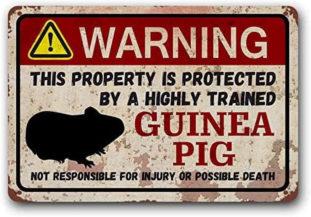 Guinea Pig Retro Sign,Funny Metal Signs Warning Sign Pet Gift, Exotic ...