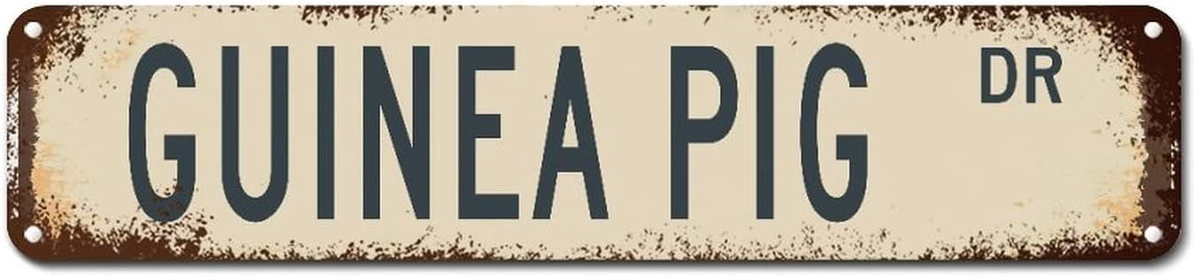 Guinea Pig Street Sign Guinea Pig Lover Metal Sign Animal Breed ...