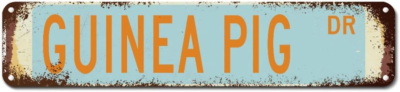 Guinea Pig Street Sign Guinea Pig Lover Metal Sign Baby Animals Metal ...