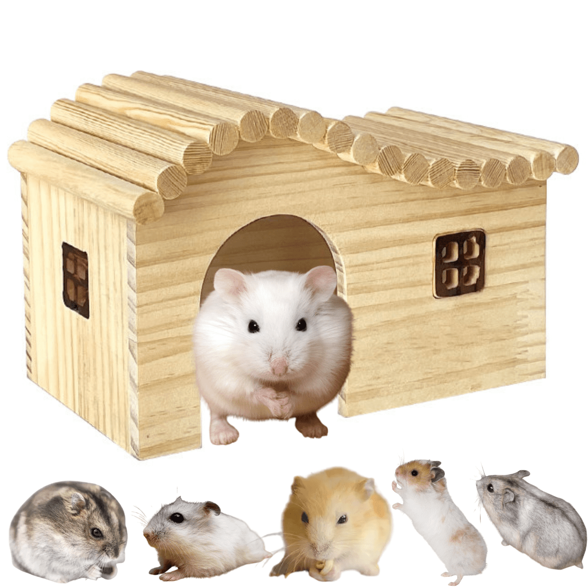 Guinea Pig Wood Hideout Hut with Window Small Animal Wooden House for ...