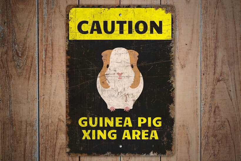 Guinea Pig Xing Guinea Pig Sign Guinea Pig Area Sign Guinea Pig Decor ...